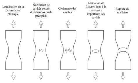 Schématisation De La Formation De La Rupture Type Cup And Cone Pour