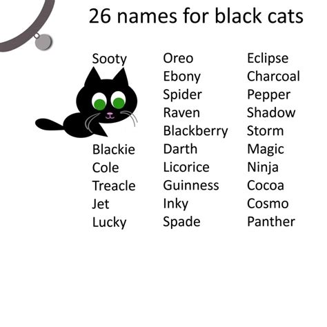 Kitten Names Girl Black