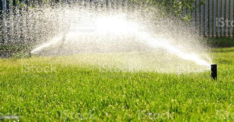 잔디에 물을 자동 정원 관개 시스템 조정 가능한 헤드로 스프링클러 관개 시스템에서 물을 절약 할 수 있습니다 잔디 원예의 관개 및 유지 보수를위한 자동 장비 0명에 대한