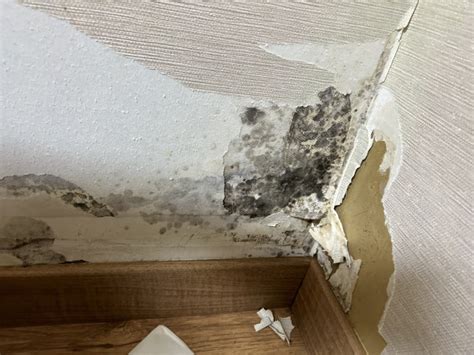 셀프 부분도배 남은 벽지로 시공 하는 방법 네이버 블로그