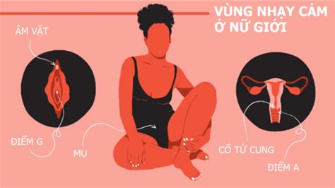 Cấu tạo cô bé của nữ giới và cách kích thích từng khu vực Review