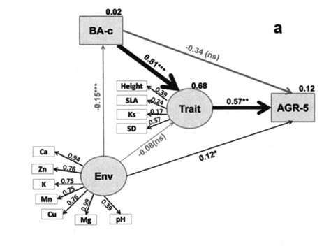 structural equation modeling python