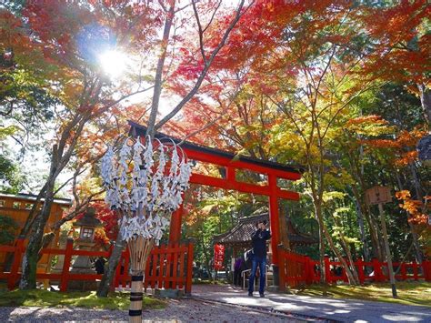 ツールド西山 自転車で行く秋の西山 紅葉めぐり 京都cf