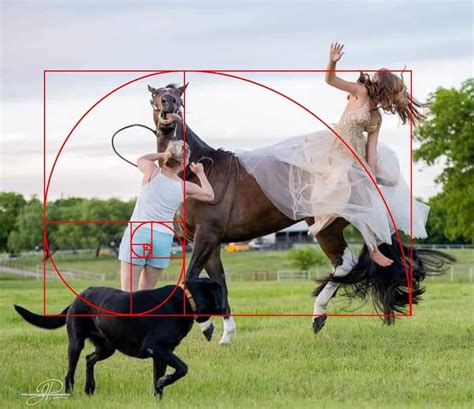 595fibonacci Rcodehs