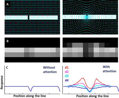 Enhanced Spatial Resolution At The Focus Of Attention A The