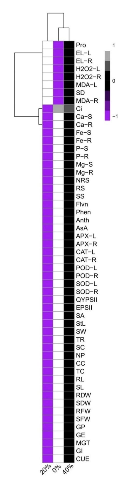 Heatmap Histogram Correlation Between Different Studied Attributes Of