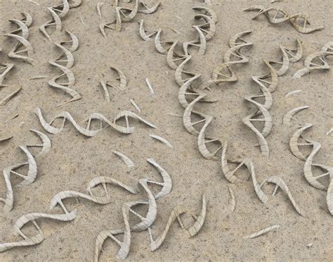 Fossil Dna Computer Artwork Stock Image C011 1881 Science Photo Library