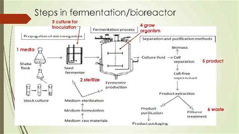 Anlagendesign Für Fermentationsanlagen