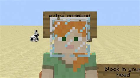 Basics Commands Minecraft Map
