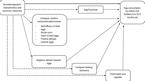 Analytic Framework Model A Included Relationships Indicated By Solid