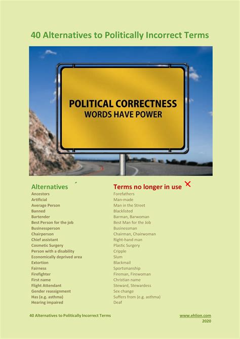 40 Alternatives To Politically Incorrect Terms Ehlion LING109 MQ