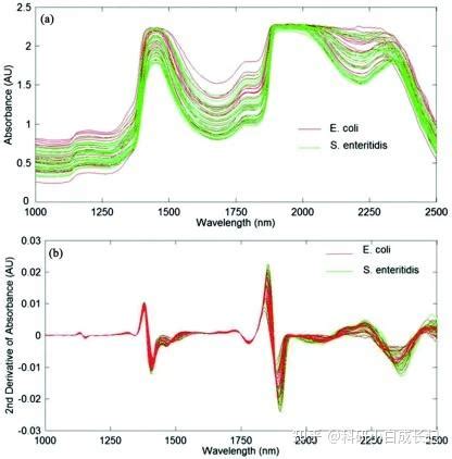 全流程Python近红外光谱数据分析 知乎