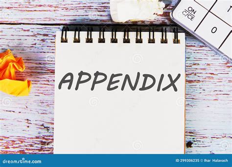 Appendix Word Written On A Sheet Of Notebook Lying On Old Vintage