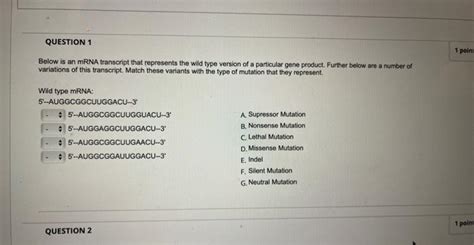 Below Is An MRNA Transcript That Represents The Wild Chegg