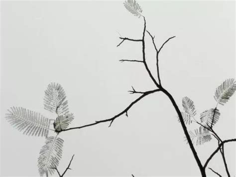 浅析中国画留白艺术 知乎