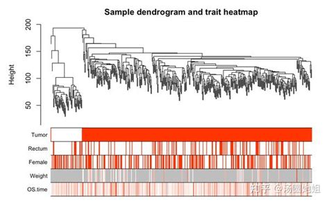 基于tcgageo数据库的癌症关键基因鉴定与验证（四）wgcna分析与hub基因筛选 知乎
