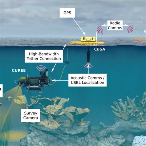 Illustration Of Curee Conducting A Reef Survey Curee Uses Vision And
