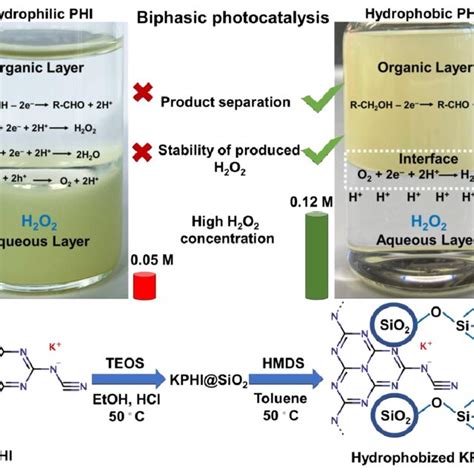 Photocatalytic Tests Photocatalytic Production Of H2o2 In Biphasic
