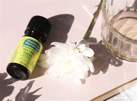 Dry Flaky And Itchy Scalp Home Remedies Diy Treatment And How To Guide Updated 2019