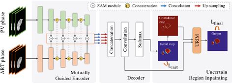 Illustration Of Our Proposed Multi Phase Liver Tumor Segmentation Network Download Scientific