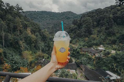 เที่ยว 3 วัน 2 คืน แจกโปรแกรมเที่ยวเชียงใหม่ เที่ยวลำปาง