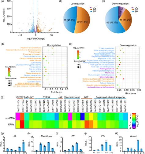 Mrna And Qpcr Analysis Indicating Hormones And Cell Wall Related Genes