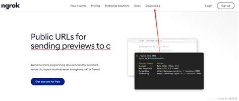 最全ngrok实现内网穿透详细教程（windows Linux） Csdn博客
