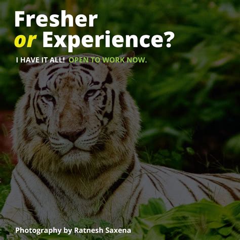 Ratnesh Saxena On Linkedin Cfbr Uxjobs Designjobs Jobs2023 Jobsearch Jobs2024