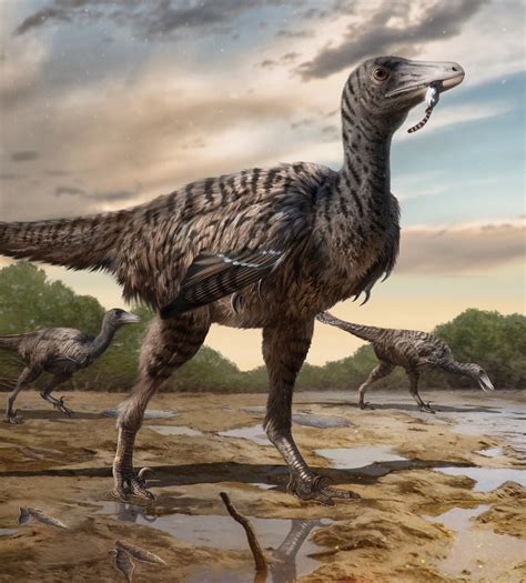 Gigantic Jurassic Raptor Footprints Unearthed Dinosaur Lab