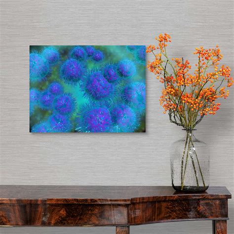 Microscopic View Of Diplococcus Bacterium Wall Art Canvas Prints