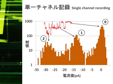 Development Of High Throughput Planar Patch Clamp System At Low Cost Ppt