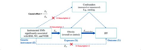 Instrumental Variable Iv Assumptions Of Mendelian Randomization