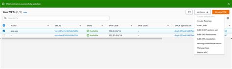 amazon web services ec2 instance has no public dns stack overflow