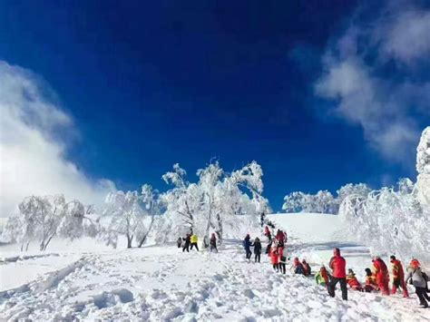 亚布力滑雪场美景 亚布力滑雪场全景 亚布力滑雪场雪道图 大山谷图库
