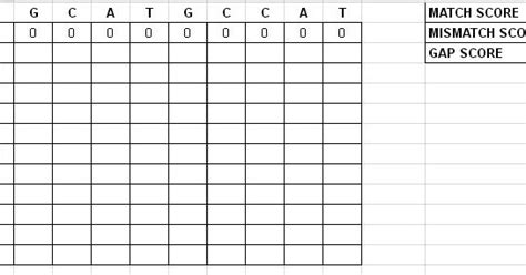 Anything Tutorials Bioinformatics Smith Waterman Algorithm With Example