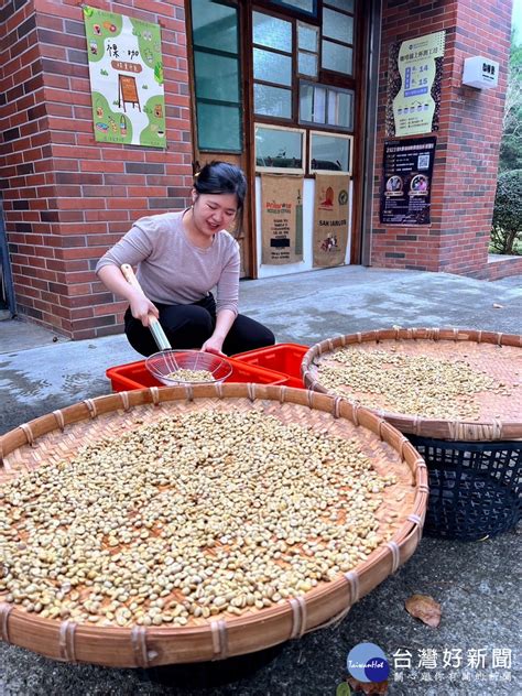 全台唯一暨大咖啡學校 從種植到開業一條龍養成