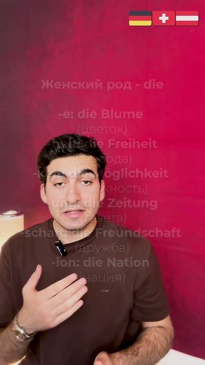 Как определить артикль 🇩🇪 германия немецкий немецкийязык образование языки язык Youtube