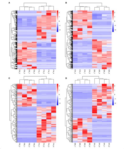 Results Of Hierarchical Clustering Analysis A Hierarchical