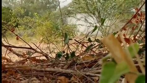 စစ်ကောင်စီယာဉ်တန်းများ မိုင်းခွဲတိုက်ခိုက်ခံရ၍ ကား ၈ စီး ပျက်စီးသွား Youtube