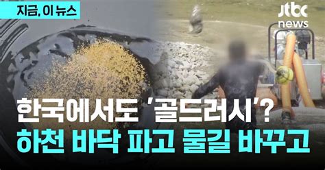 우리나라에서도 골드 러시하천 바닥 긁는 사람들 쫓아가보니