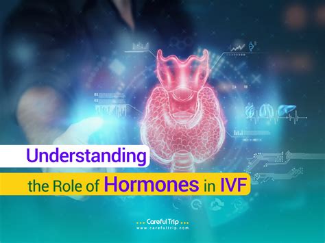 Understanding The Role Of Hormones In Ivf
