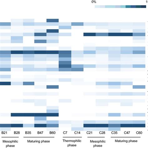 Heatmap Analysis Of The Bacterial Genera With The Relative Abundance Download Scientific