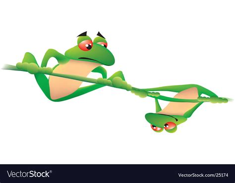 Tree Frogs Royalty Free Vector Image VectorStock