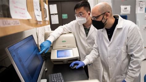 Sudbury Researcher Disappointed Ontario Ends COVID Wastewater Surveillance CBC News