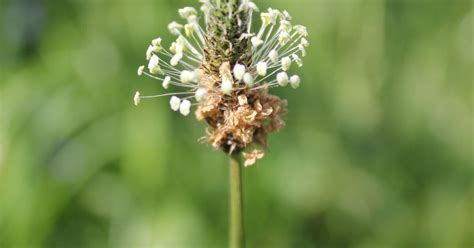 Календарно тематичне планування з технологій 5 клас 2 семестр НУШ за модельною програмою автори