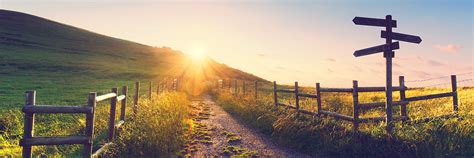 Dabbling In The Data A Hands On Guide To Participatory Data Analysis Public Profit