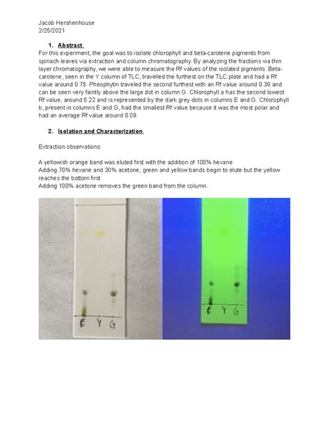 Chromatography Of Spinach Lab