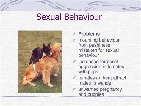 Ppt Behavioural Patterns Powerpoint Presentation Free Download Id3061299