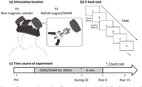 Figure 1 From Transient Modulation Of Working Memory Performance And Event Related Potentials By