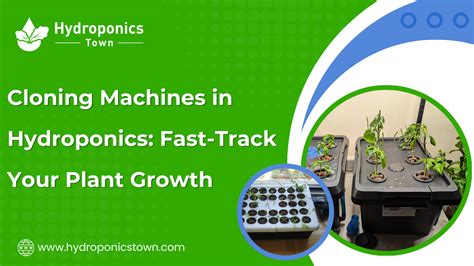 Guide To Hydroponic Cloning Machines Hydroponic Cloner